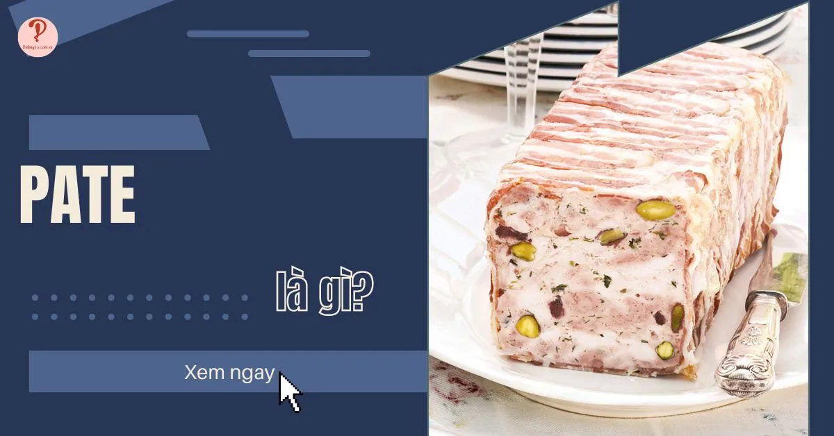 Pate là gì? Bao nhiêu calo? 6 cách làm pate ngon tại nhà nhanh dễ làm ...